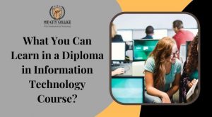What You Can Learn in a Diploma in Information Technology Course?